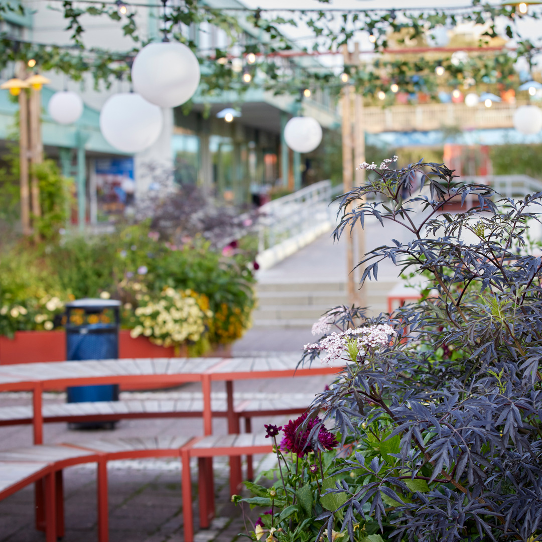 Hitta hit - Vårväderstorget